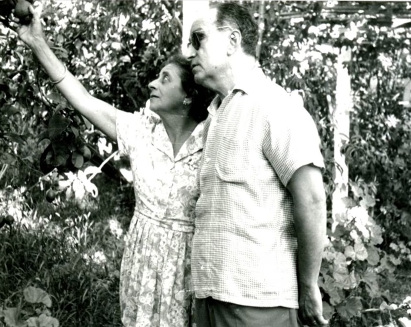 Joaquín Rodrigo : lumières et ombres du Concerto d’Aranjuez – Sostenuto